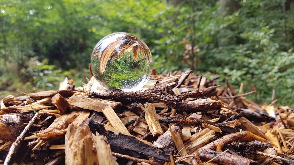 ZeOrb: im Wald mit der Glaskugel - Frau von Wald