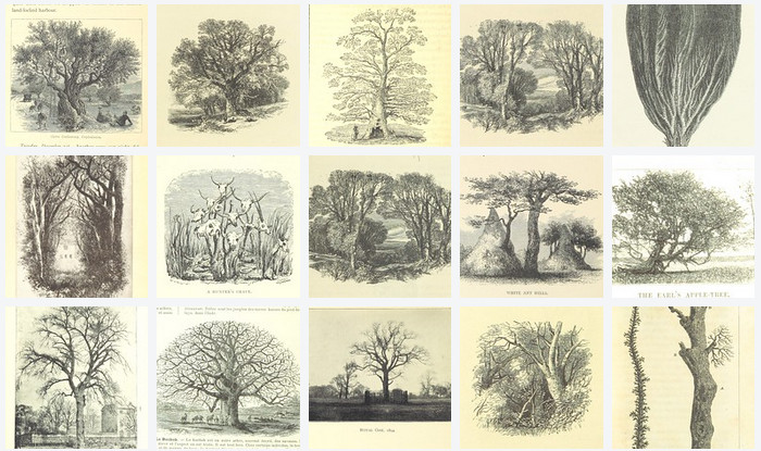 Vierzigtausend Bäume aus der British Library - Frau von Wald